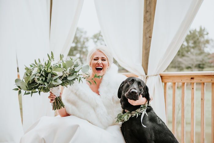 La réaction adorable d’un chien face à son propriétaire en robe de ...